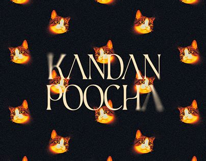Poocha Projects Photos Videos Logos Illustrations And Branding Behance