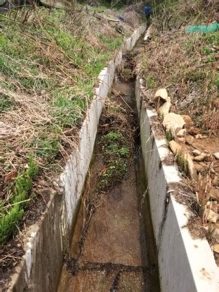 배수로 용수로 암튼 배수로 청소 네이버 블로그