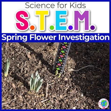 Fun Easy Quantity STEM Investigation Printable