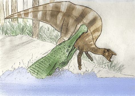 Sarcosuchus — Wikipédia