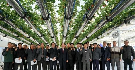 딸기 생산 3배 이상 높이는 수직재배 시스템 나왔다