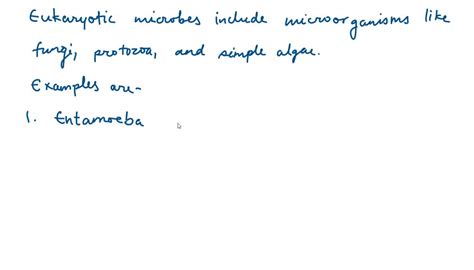 Solved 2 Examples Of Macroscopic Groups And 2 Examples Of Microscopic