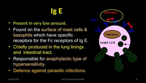 Lecture 18 Types Of Immunoglobulins Their Isotypes And Generation Of