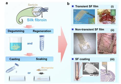 Dhu Team Published Study On Bioactive Polymers Conducive To Parkinsons