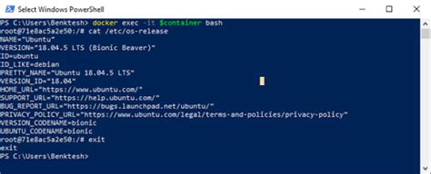 creating modifying and updating docker image from container codeproject