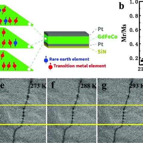 The Magnetic Domain Evolution In Amorphous Ferrimagnetic Gdfeco Film A Download Scientific