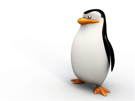 Skipper Penguins Of Madagascar Wallpaper