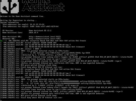 Home Assistant Weird Output On Terminal Configuration Home Assistant Community