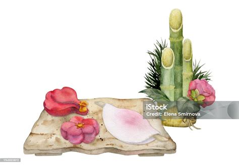 수채화 손으로 그린 일본 전통 과자 도자기 접시 겨울 동백 디자인의 화과자 흰색 배경에 격리되어 있습니다 초대장 레스토랑 메뉴 인사말 카드 인쇄 섬유 디자인 0명에 대한