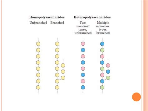 Chemistry And Structure Of Polysaccharide Ppt