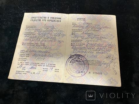 Свідоцтво про народження 117836463 купити Violity