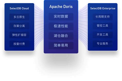 面向实时分析的现代化数据仓库 selectdb