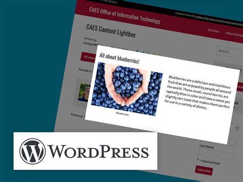 Wordpress Caes Content Lightbox Caes Office Of Information Technology