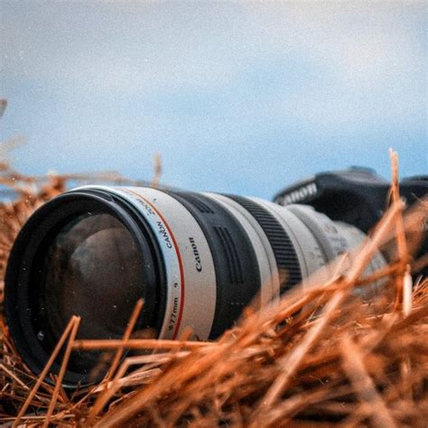 A Elena Threads Say More