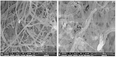 Method For Preparing Graphene Nanoribbon Eureka Patsnap
