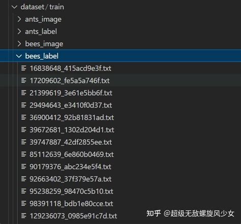 pytorch基础 dataset 知乎