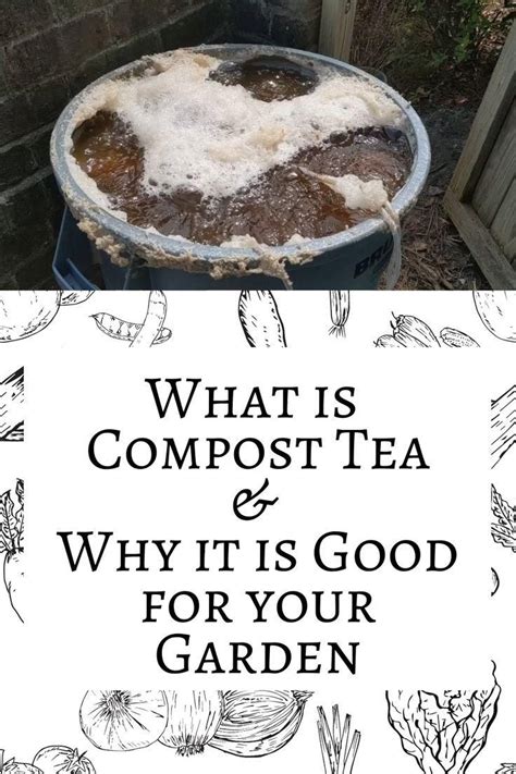24 Worm Composting Ideas In 2025 Worm Composting Vermicomposting Compost