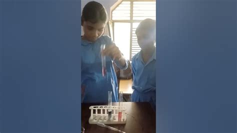 Hibiscus Indicator Youtube