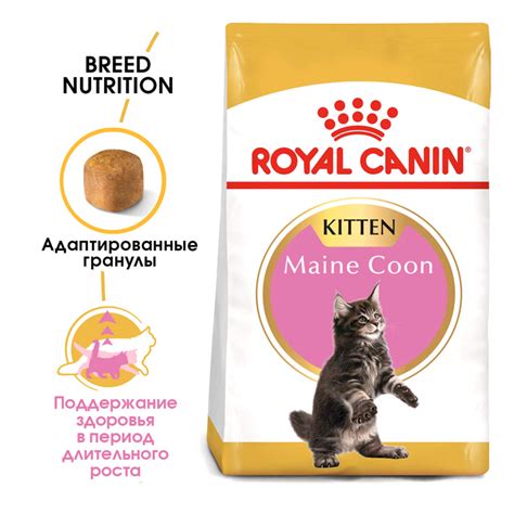 Роял Канин КИТТЕН МЕЙН КУН сухой корм для котят породы Мейн-Кун в ...