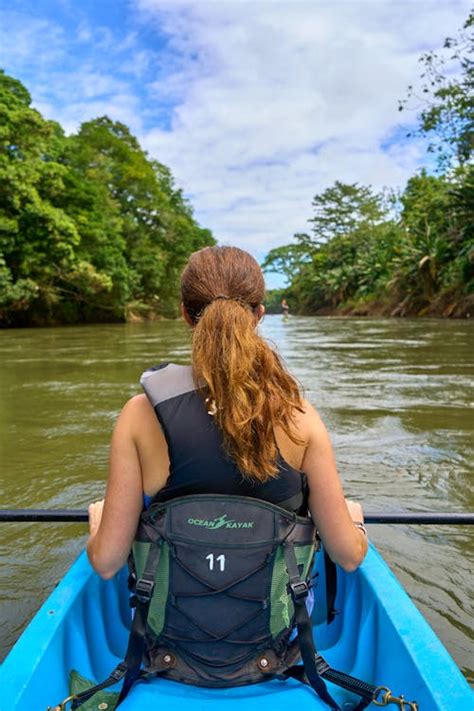 강 강 모험 강둑 경치 고요한 관광 광야 구명 조끼 녹색 뒷모습 레저 레크리에이션 맑은 하늘 모험 무성한 물 민물 바다 카약 보트 타는