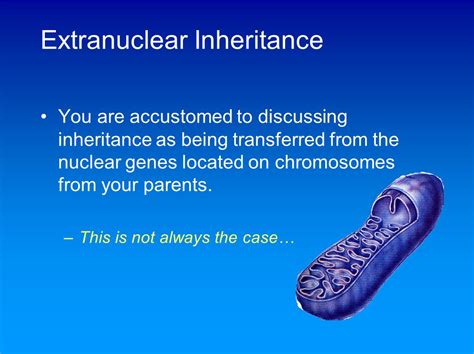 Chapter 9 Extranuclear Inheritance Ppt Video Online Download