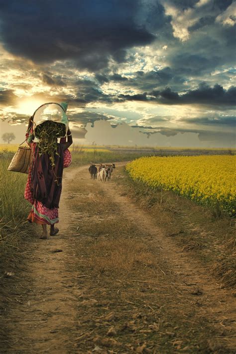 빨간색과 검은색 드레스를 입은 여자가 노란 꽃밭 사이의 갈색 흙길을 걷고 있다 사진 Unsplash의 무료 하늘 구름 이미지