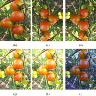 Image Enhancement A Original Image B Scaling And Cropping C