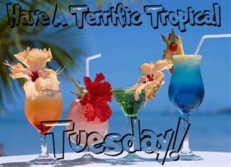 Have A Terrific Tuesday