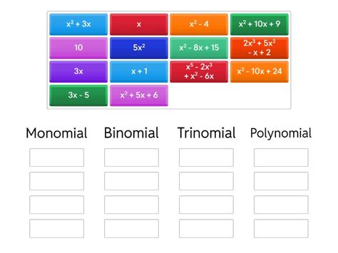 Polynomials Vocabulary Group Sort