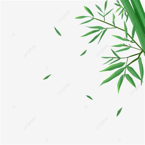 Bamboo Bamboo Forest Bamboo Leaves Bamboo Bamboo Forest Bamboo