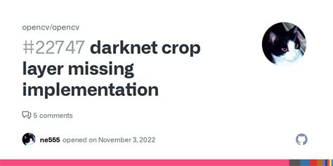 Darknet Crop Layer Missing Implementation · Issue 22747 · Opencv