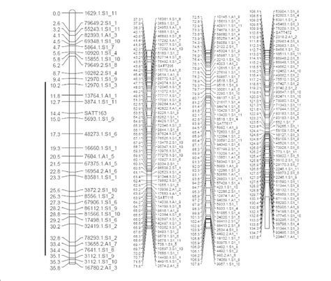 High Density Genetic Map Of Soybean Linkage Group G Showing The