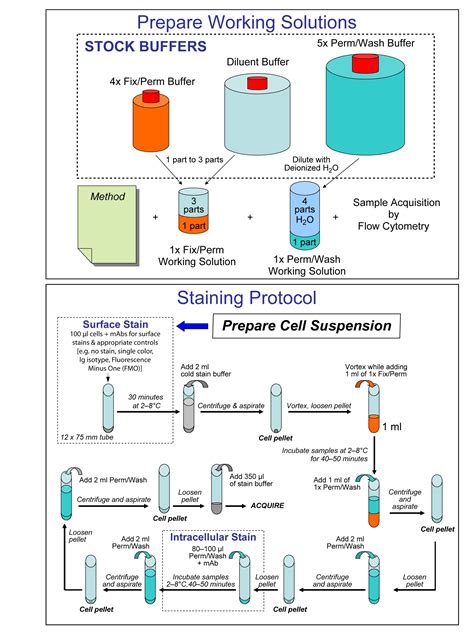 Flow Cytometry Cell Staining Buffer Recipe Bryont Blog