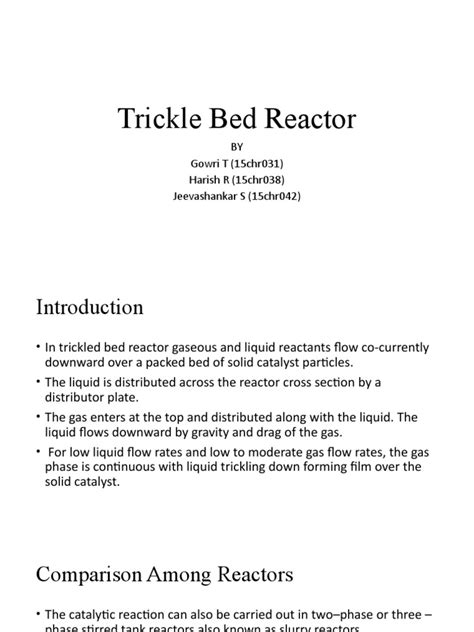 Trickle Bed Reactor 04032019 Pdf Chemical Reactor Liquids
