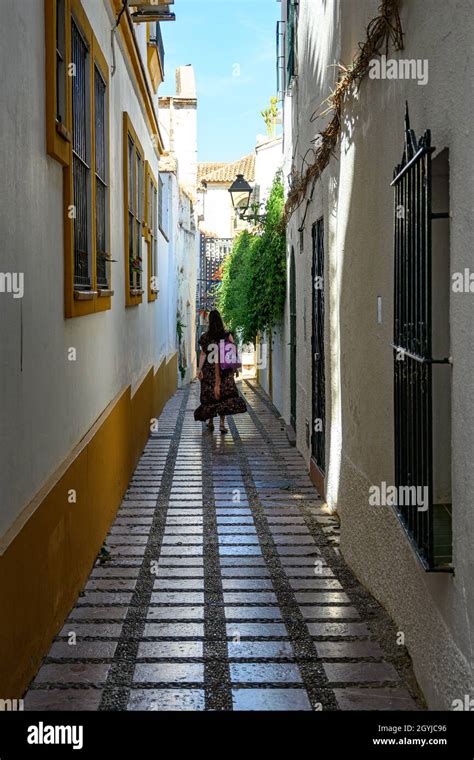Path Between Two Buildings Stock Photo Alamy