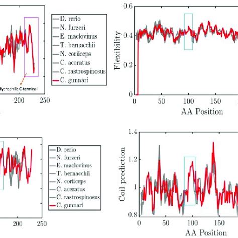 Multiple Sequence Alignment For Nucleotide Sequences Of Atp Synthase Download Scientific