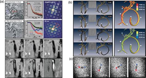Imaging The Ultrafast Dynamics In Uem A Direct Imaging And Electron Download Scientific