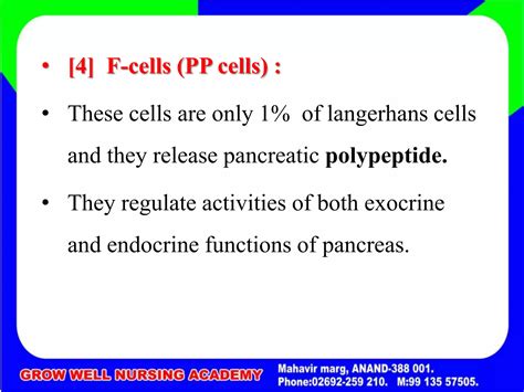 Pancreas Endocrine Gland Ppt