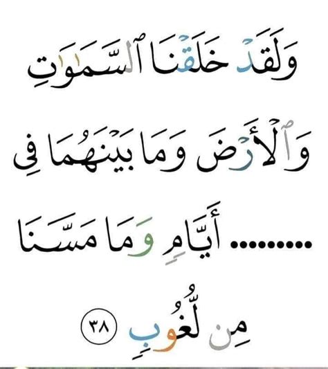 نور المعرفة