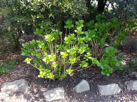 강훈 아침기도 형제들아 너희는 선을 행하다가 낙심하지 말라 데살로니가후서 31 15절 끝으로 형제들아 너희는 우리를 위하여 기도하기를 주의 말씀이 너희 가운데서와