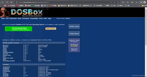 开发操作系统（4）dosbox的介绍和使用 Csdn博客
