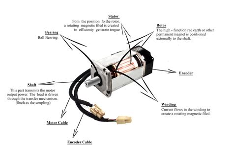 Industrial Servo Motor Ribhu International