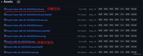 msys2安装与配置 在windows上使用linux工具链g 和包管理工具pacman c 开发 csdn博客