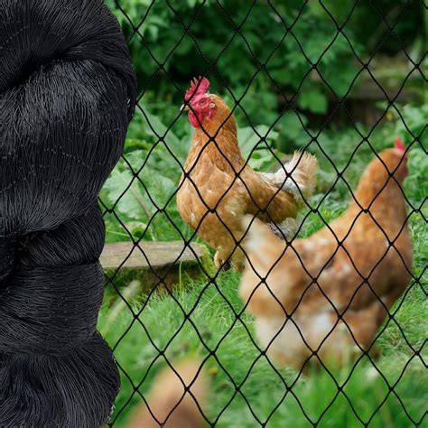 Bird Netting Poultry Netting For Chicken Coop 25x50 With 2 4 Square Mesh Garden