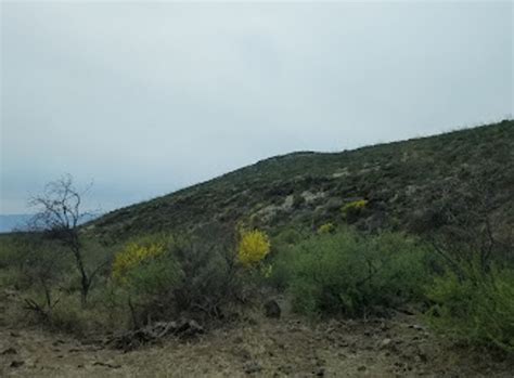 Black Hills Rockhound Area Arizonas Gemstone Haven