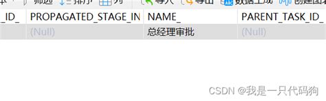 springboot使用flowable（10） formdeploymentbuilder csdn博客