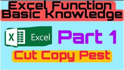 Ms Excel Basic Knowledge In Hindi Excel Cut Copy Pest Function