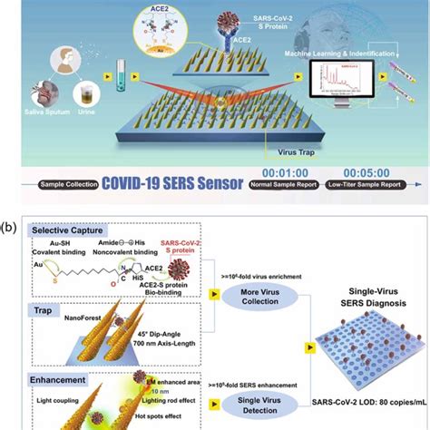 A Schematic Diagram Of A Near Infrared Surface Plasmon Reference Nir