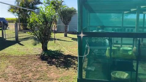 Greenhouse Sun Shade Cloth Netting Farming Plastic Hdpe Agriculture Sunshade Net Garden