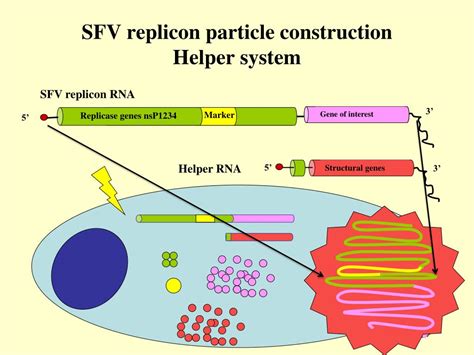 Ppt Hybrid Sfv Vrp System Powerpoint Presentation Free Download Id